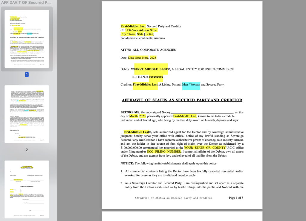 AFFIDAVIT OF SECURED PARTY STATUS - Realworldfare